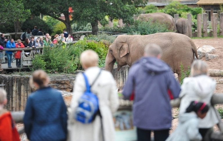 Chester Zoo welcomes ONE MILLION visitors in record time | Chester.com