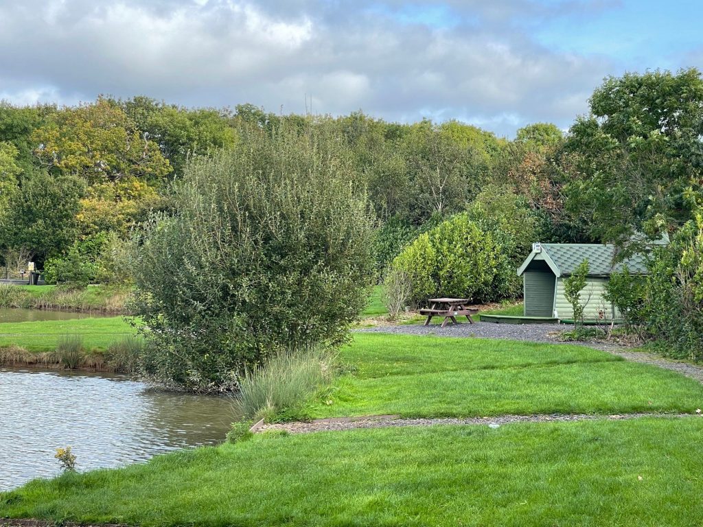 Deva Fest | Chester.com