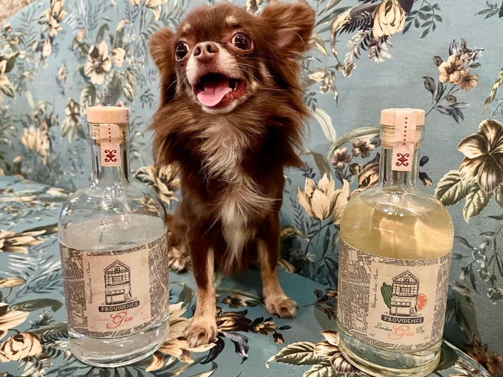 Providence Gin | Chester.com