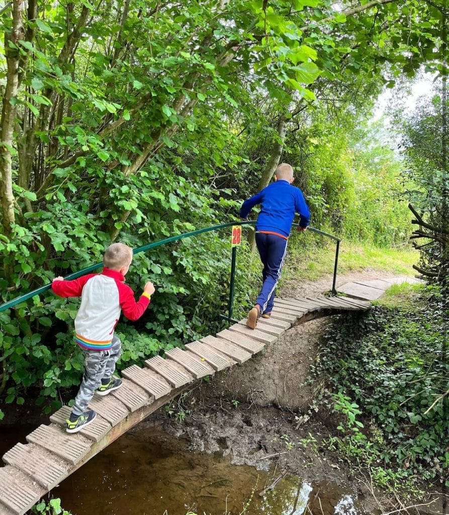 The Crocky Trail | Chester.com