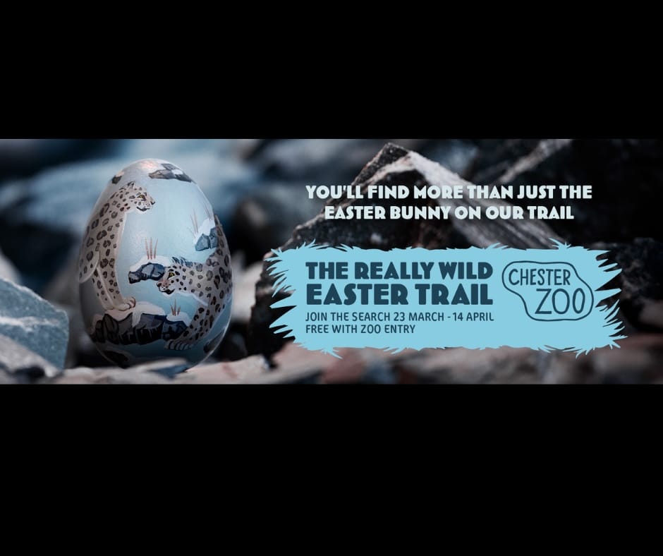 The Really Wild Easter Trail at Chester Zoo | Chester.com